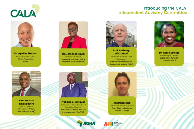 Updates – CALA – Centre for African Leaders in Agriculture