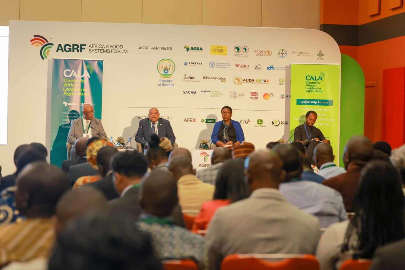 Africa’s food systems need to be reimagined – CALA forum to chart ways ...